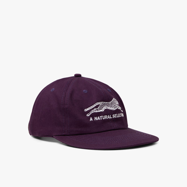 Brother Brother Natural Selection Cap Grape / White – Livestock