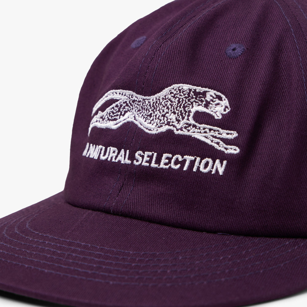 Brother Brother Natural Selection Cap Grape / White – Livestock