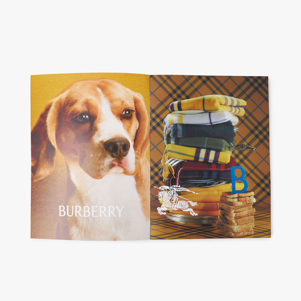 Bully Magazine Issue Two / Two Beam Cover – Livestock